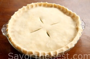 Turkey Pot Pie - Savor the Best