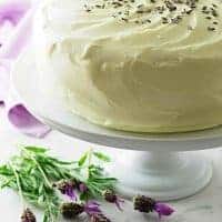 Lavender Cake with Lavender Cream Cheese Icing - Savor the Best