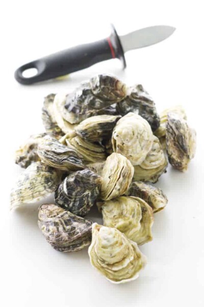Oysters on the Half-Shell - Savor the Best