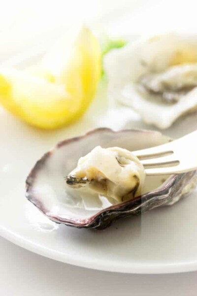 Oysters on the Half-Shell - Savor the Best