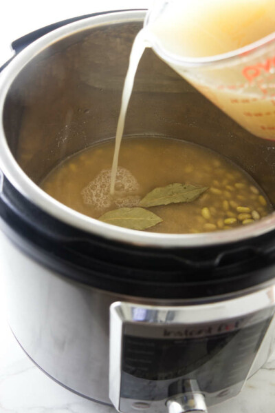 Instant Pot Mayocoba Beans - Savor the Best