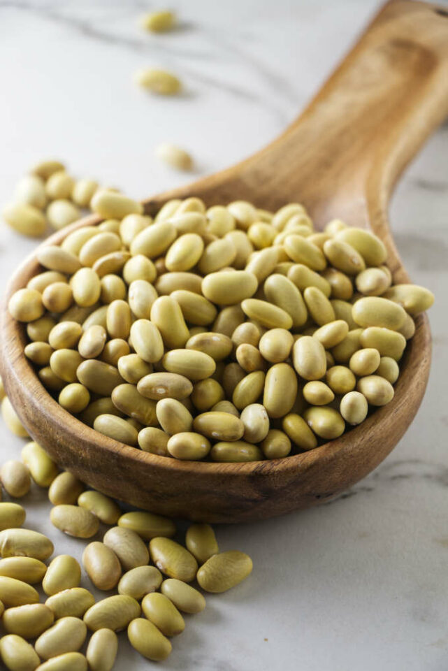 Instant Pot Mayocoba Beans - Savor the Best