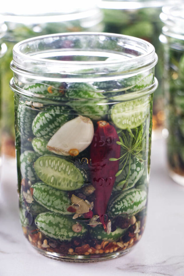 Pickled Cucamelons - Savor the Best