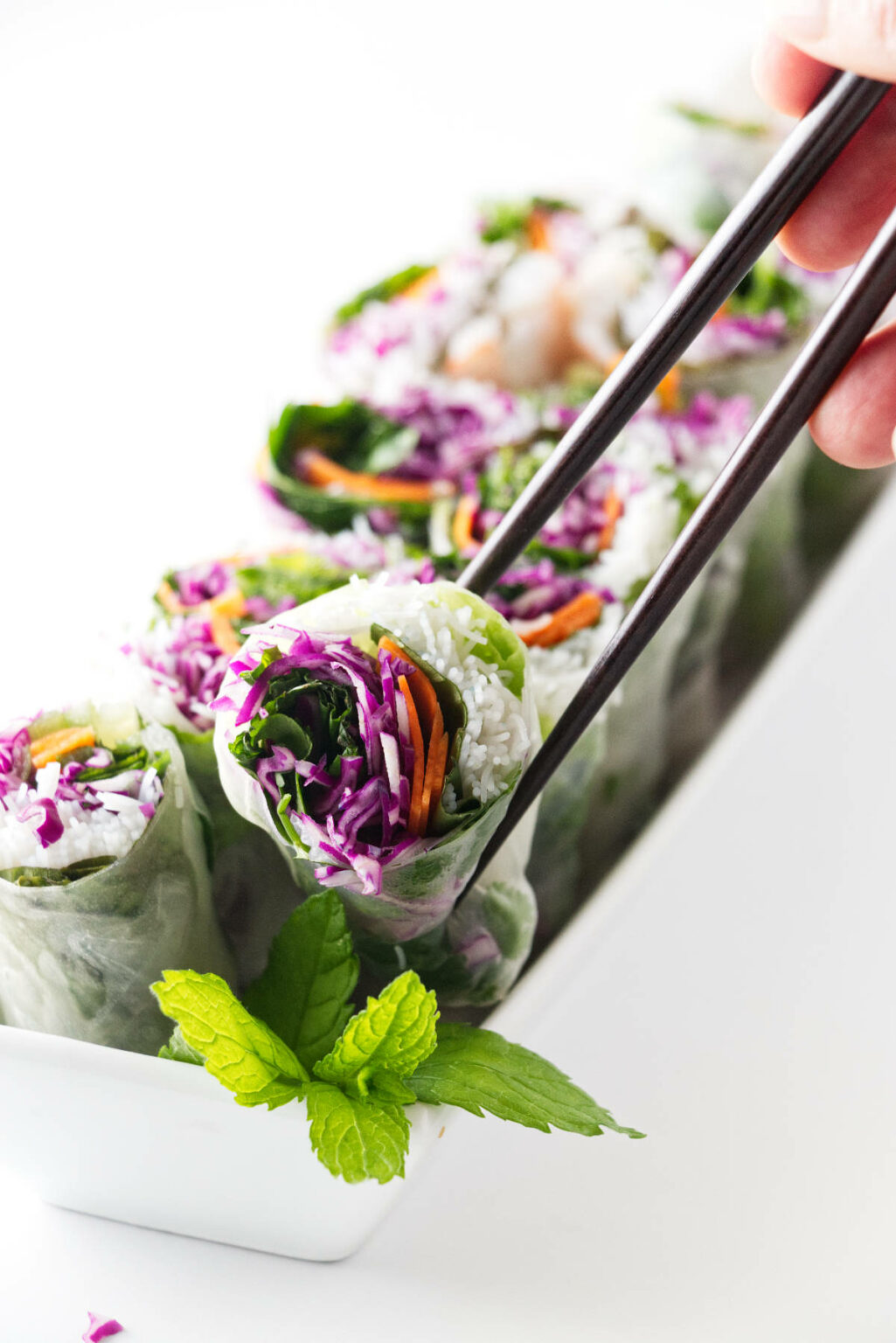 Fresh Vegetable Spring Rolls - Savor the Best