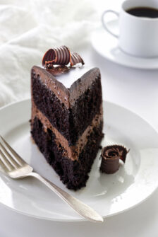 Chocolate Ganache Cake - Savor the Best