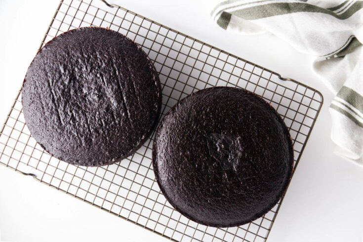 Chocolate Ganache Cake - Savor the Best