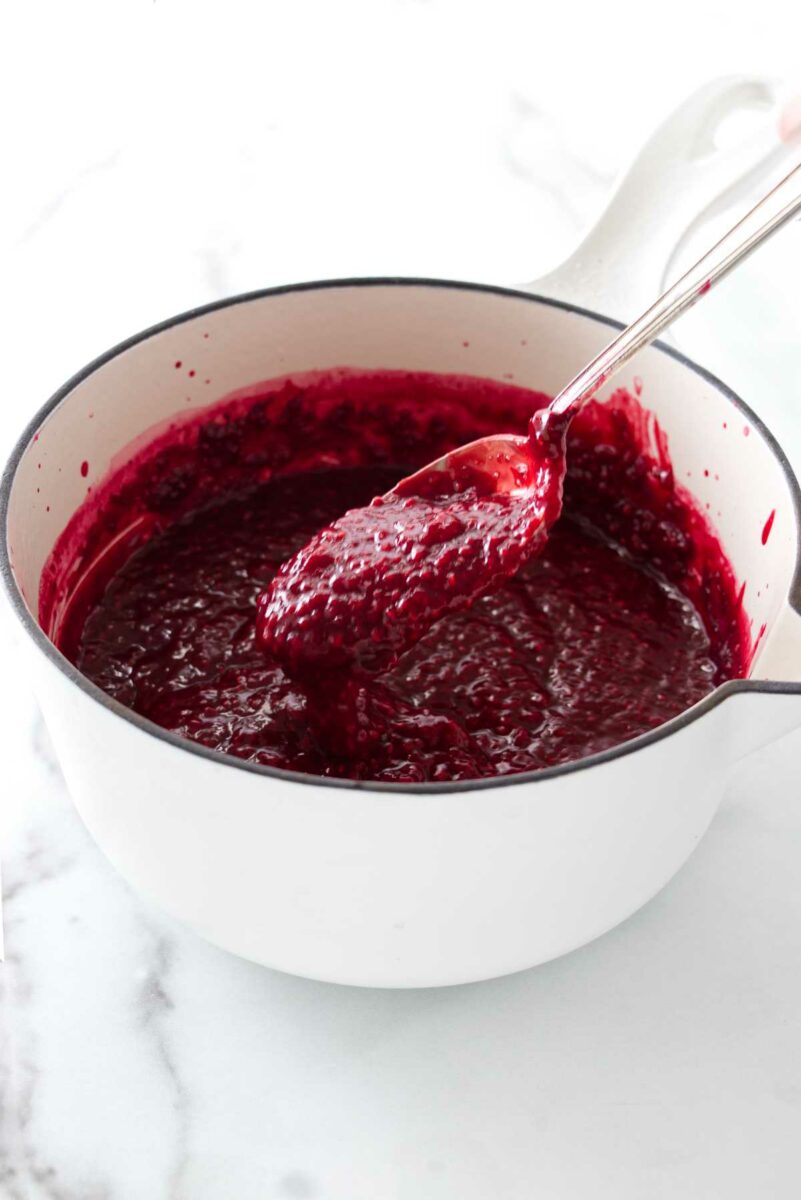 Raspberry Sauce - Savor the Best