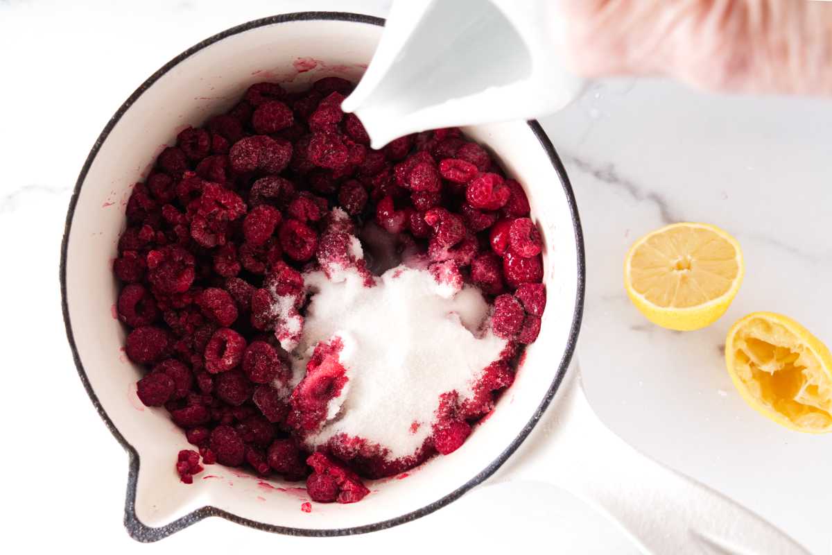 Raspberry Sauce - Savor the Best