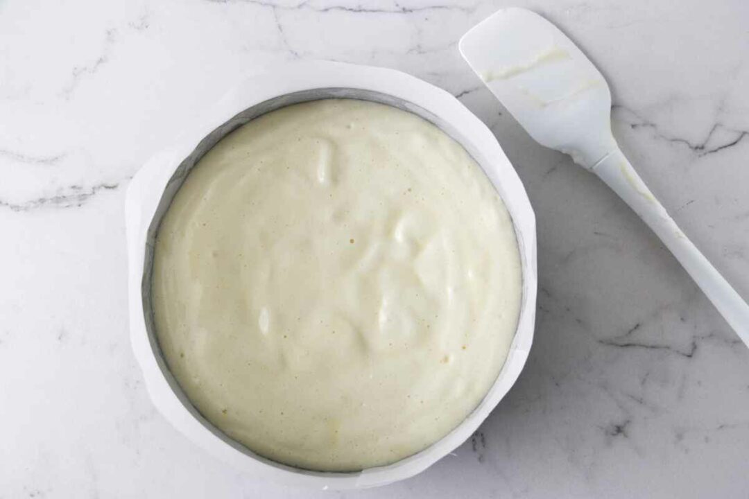 Turkish Yogurt Cake (low sugar and fat) - Savor the Best