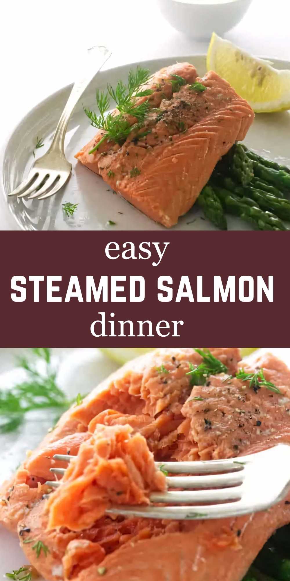 Steamed Salmon - Savor the Best