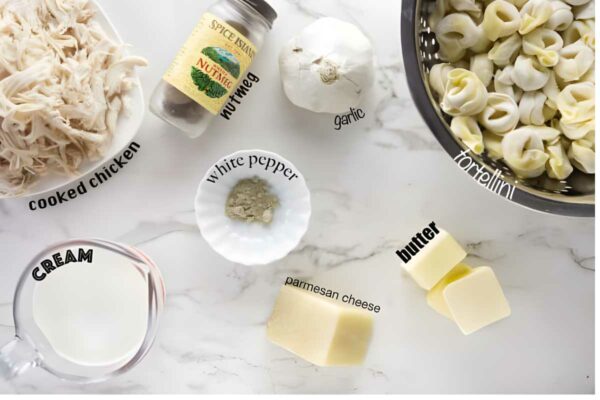 Chicken Alfredo Tortellini - Savor the Best
