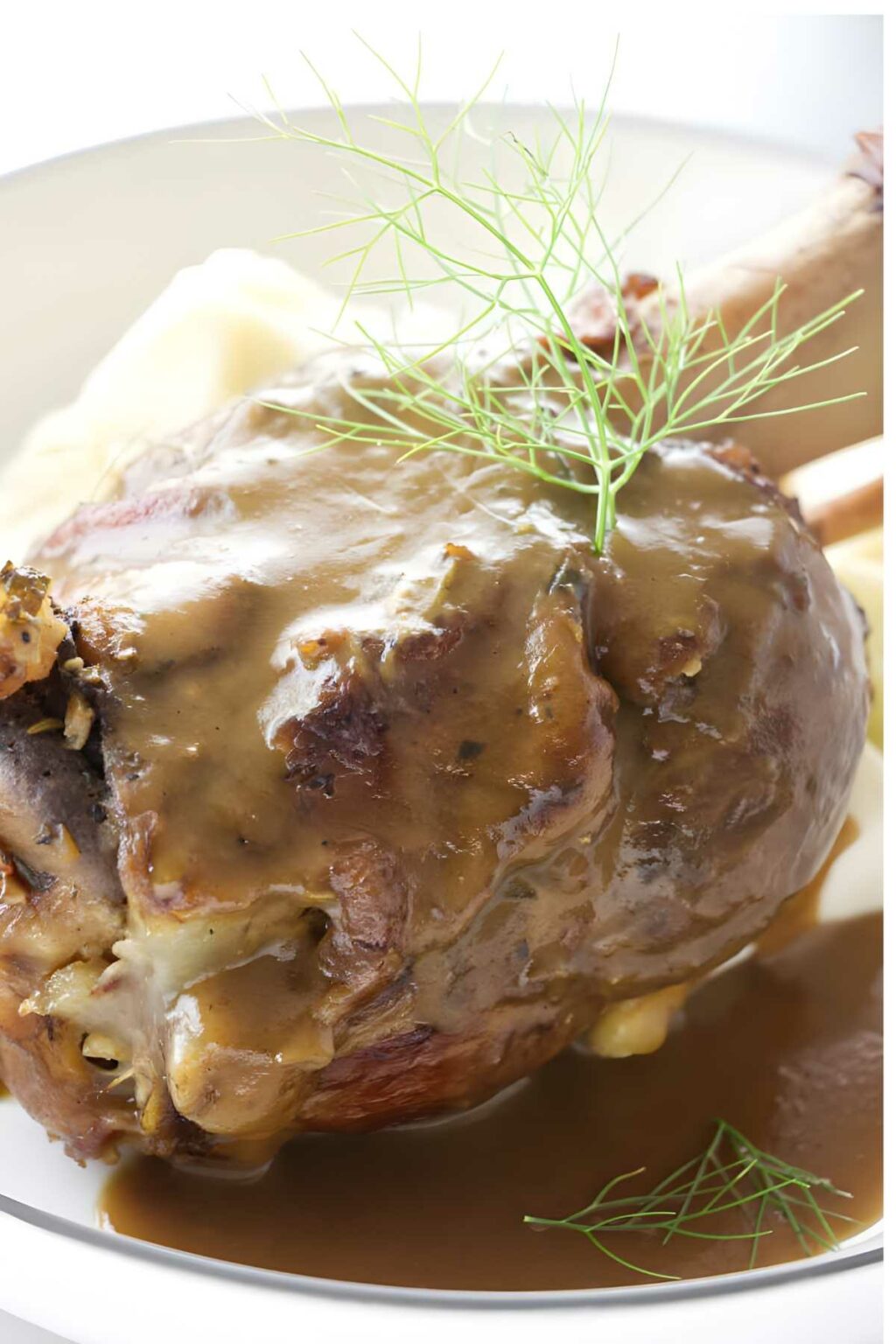 Braised Pork Shanks with Gravy - Savor the Best