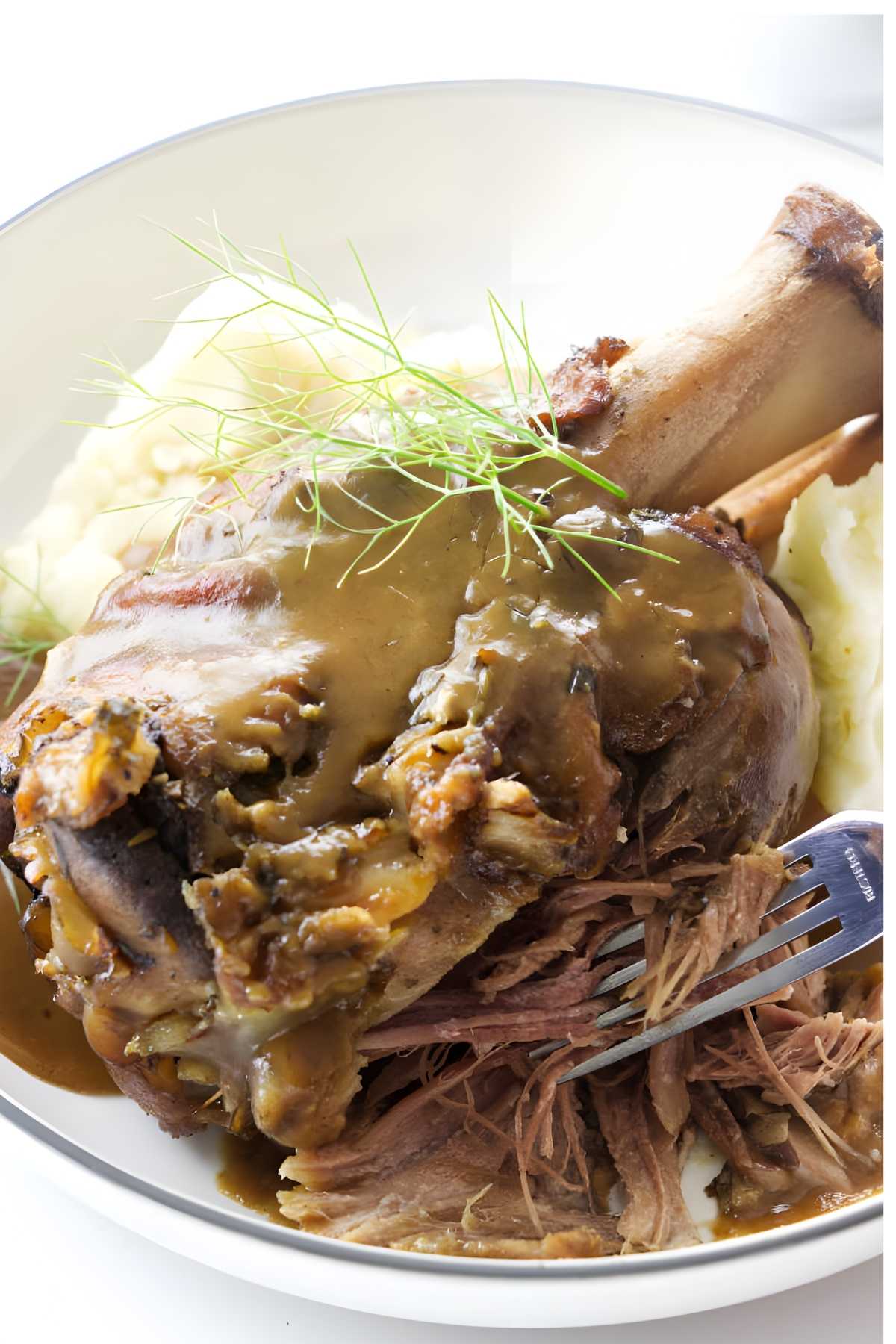 Braised Pork Shanks with Gravy - Savor the Best